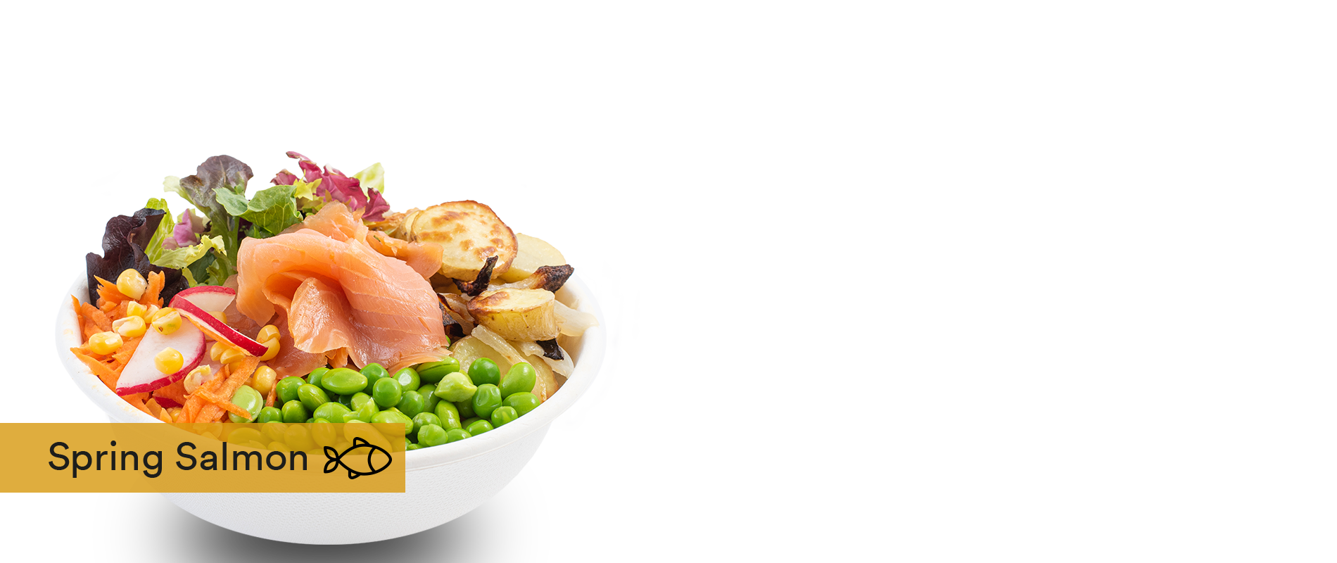 Puzzle Salads - 7x v Praze